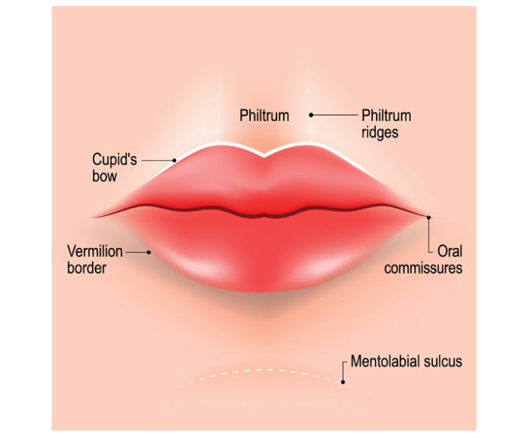 Rejuvenecimiento labial con láser - Alma Médica