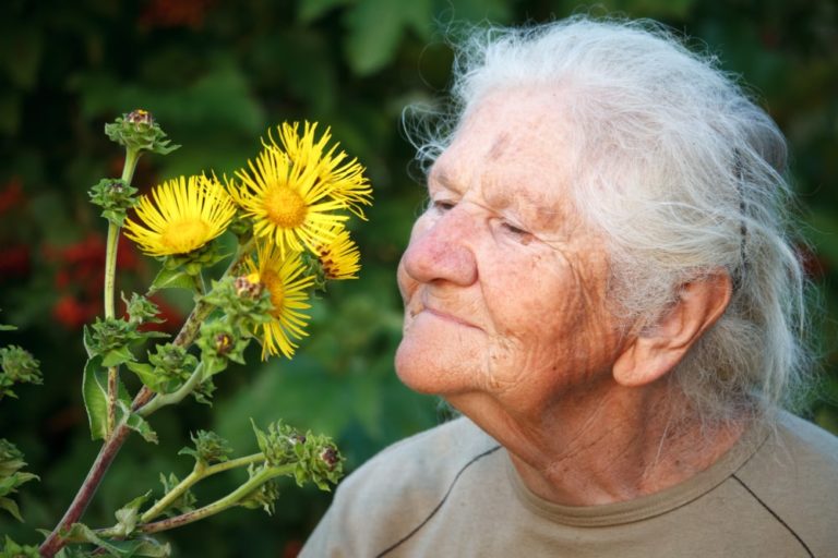 Elastosis solar, actínica o senil ¿qué es? - Alma Médica